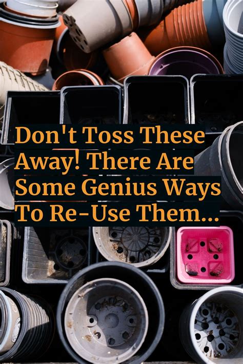 Houseplant And Weve Got 12 Of The Best Ideas