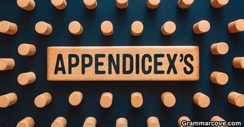 Appendices Or Plural Of Appendix Clarifying Usage Grammar Cove