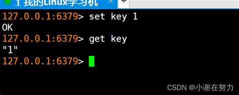 【redis】redix在linux下的环境配置和redis的全局命令 Csdn博客