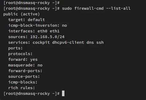 How To Install A Local Dns Resolver With Dnsmasq On Rocky Linux