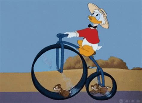 Bike Ride  Bike Ride Discover And Share S