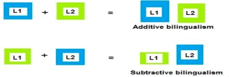 Dynamic Vs Additive Vs Subtractive Models Of Bilingualism Miss B