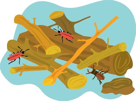 1 Deadwood Beetle Stock Vectors And Vector Art Shutterstock