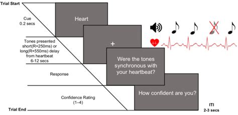 Experimental Design Of The Integrated Heartbeat Detection Internal Download Scientific Diagram
