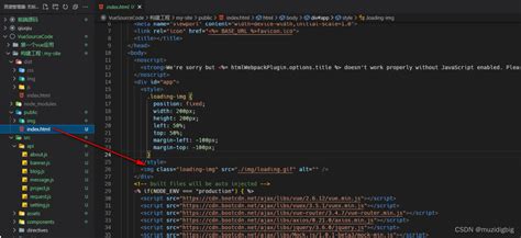 Vue项目首屏优化策略：减少vendorjs体积与代码加载速度提升 Csdn博客