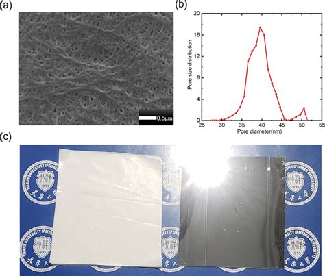 Properties Of Nano Pe Film A The Scanning Electron Microscopic Image