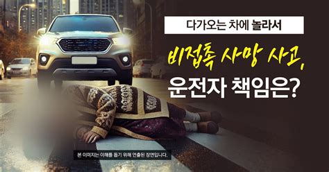 다가오는 차에 놀라서 비접촉 사망사고 운전자 책임은 앵커리포트