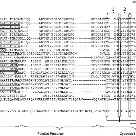 novel sequences identified by database searching showing the conserved