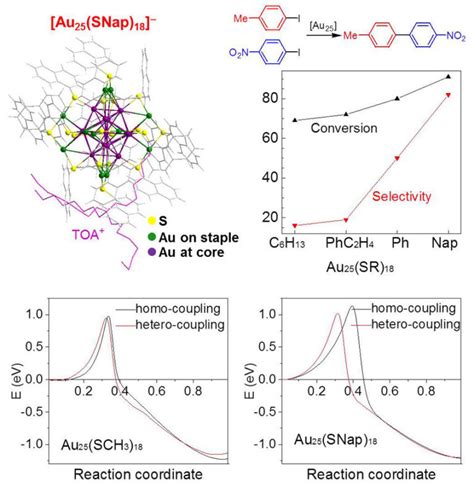 Tailoring The Electronic And Catalytic Properties Of Au25 Nanoclusters Via Ligand Engineering