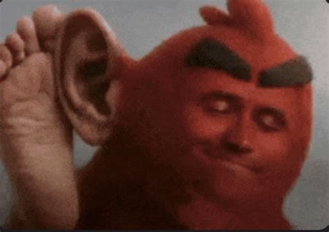 Angry Birds Angry Birds Listening Meme Angry Birds Angry Birds