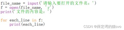 Python基础异常处理 python as reason CSDN博客