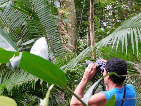 Talaud Bear Cuscus Conservation Program Progres