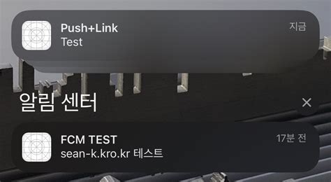 iOS Notification Push 사용 Firebase 연동 FCM