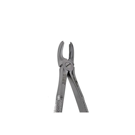 18 Upper Molar Extraction Nna Medical Inc