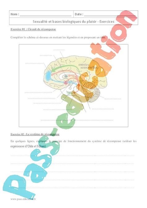 Exercice Sexualité et bases biologiques du plaisir Première