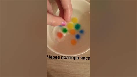 выращивают орбизы - YouTube