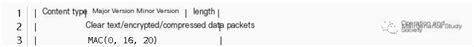 Mastering The TLS SSL Handshake With Wireshark A Detailed Guide To Network Analysis Ax Soft