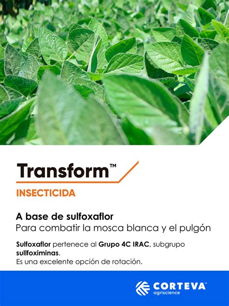 Impagro Transform™ Es El Insecticida Perfecto Para El Facebook