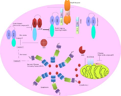 Figure 1 From Overview Of The Oncogenic Signaling Pathways In