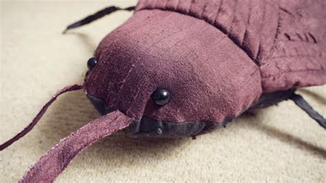 Cockroach Plush Tutorial Verypurpleperson