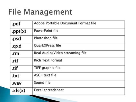 Operating Systems File Management Pptx