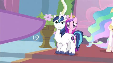 Mlp Princess Cadence And Shining Armor
