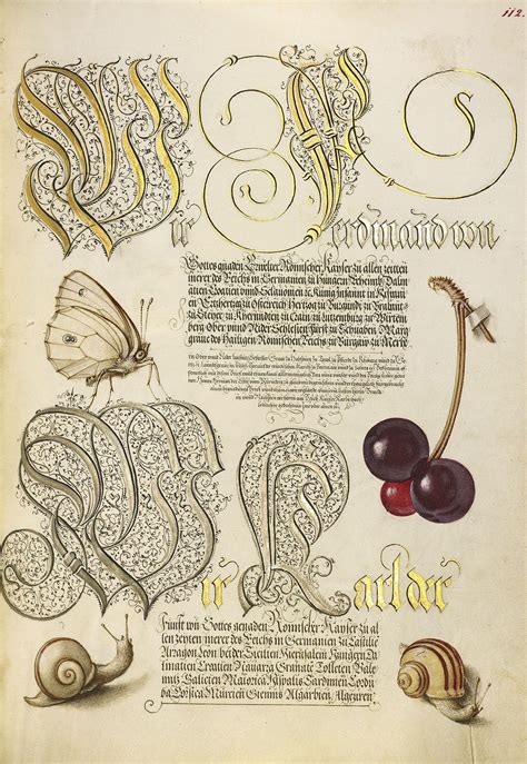 See A Dazzling Exuberant Renaissance Calligraphy Guide Artofit