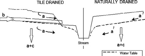 Nitrogen Partition Showing Lateral Flow N A Tile Drain N B And