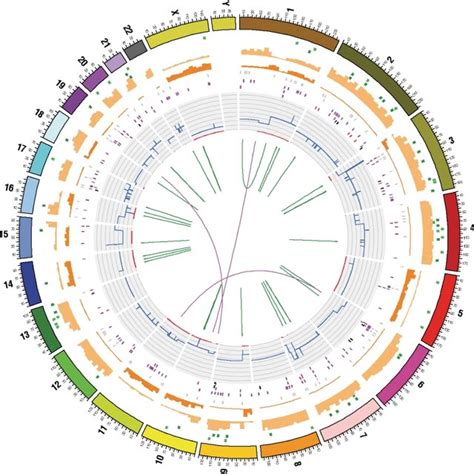 Pdf Cosmic Mining Complete Cancer Genomes In The Catalogue Of Somatic Mutations In Cancer