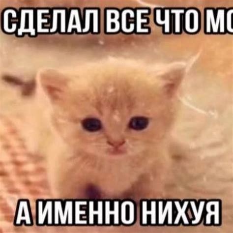 Nesl нэсл Youtube