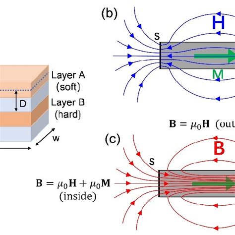 A The Sketch Of Magnetic Tunnel Junctions The Sample Lateral Download Scientific Diagram