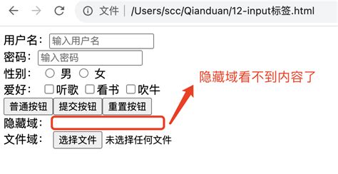 html 入门手册 二 html文本框 csdn博客