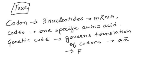 SOLVED True Or False Each Codon Codes For Only One Amino Acid