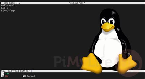 How To Save And Exit Out Of Nano Pi My Life Up