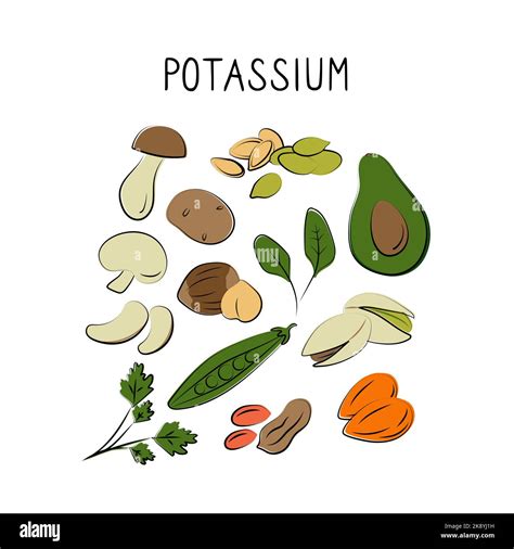 Potassium Containing Food Groups Of Healthy Products Containing