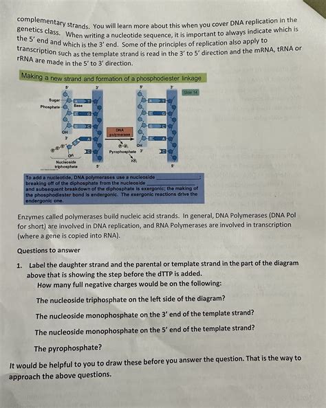 Solved 3draw A Nucleoside That Contains The Base Found Only