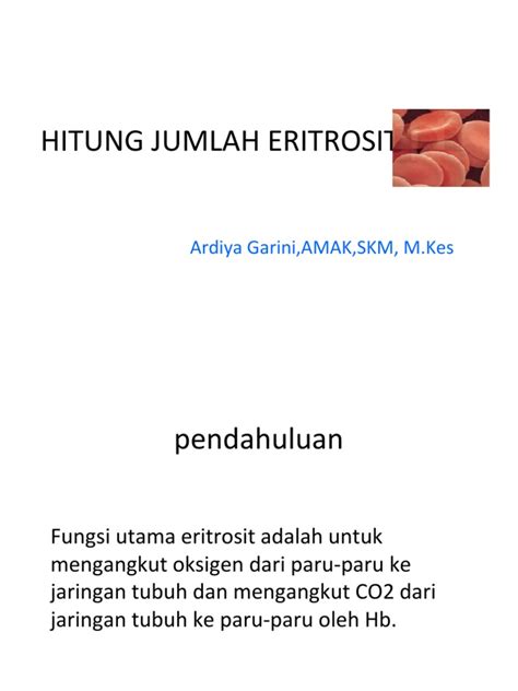 hitung eritrosit pdf