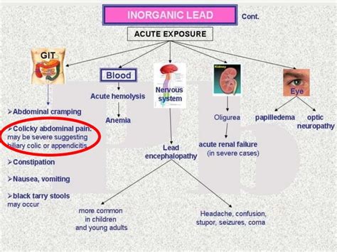 Lead Poisoning Pptx Blood Disorders Diseases And Conditions
