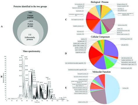 Protein Classification According To Molecular Function A In Total