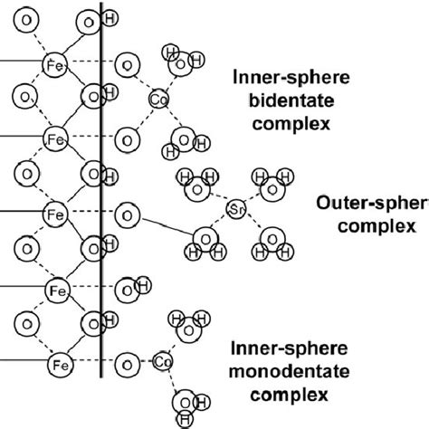 Pdf Adsorptiondesorption Processes In Subsurface Reactive Transport Modeling