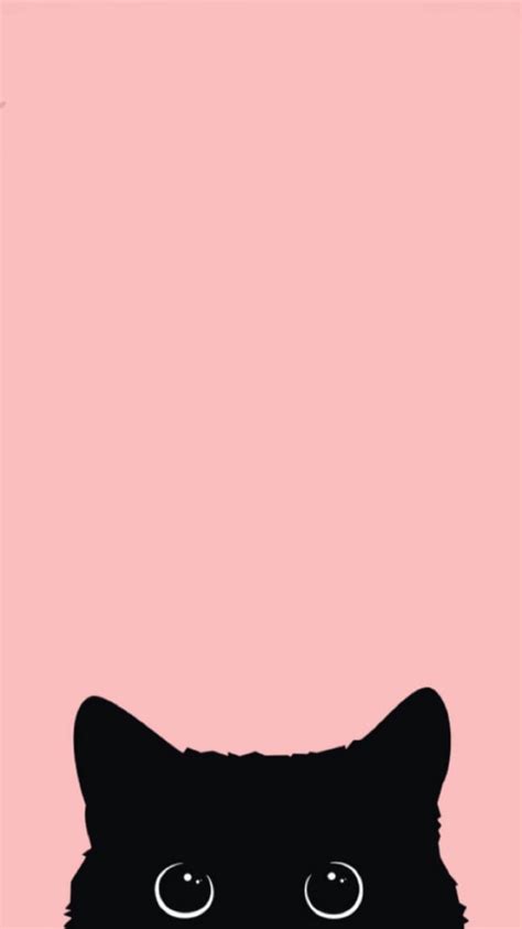 Cute Pink Cat Wallpapers Top Free Cute Pink Cat Backgrounds WallpaperAccess