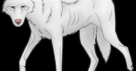 Icicle Whitebark Album On Imgur