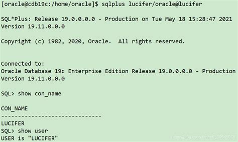 Oracle 19c同版本 Non Cdb 转换为 Cdb Pdb（dbms Pdb Describe方式） Dbms Pdb Describe Csdn博客