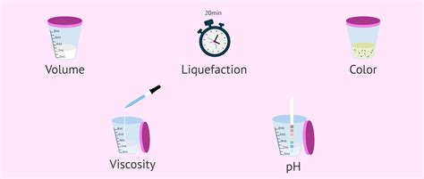 What Is The Normal Semen Volume In Males