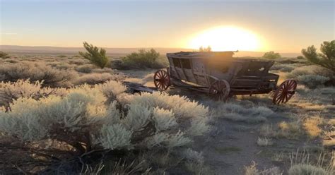 Top Multi Frequency Metal Detectors For Serious Enthusiasts Tvmdc