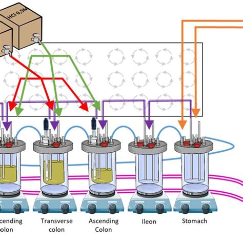 Non Metric Multidimensional Scaling Nmds Of β Diversity The In