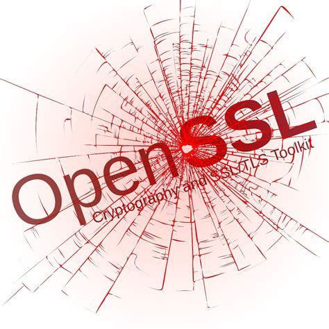The Open Ssl Vulnerability What Is It And What Can Be Done