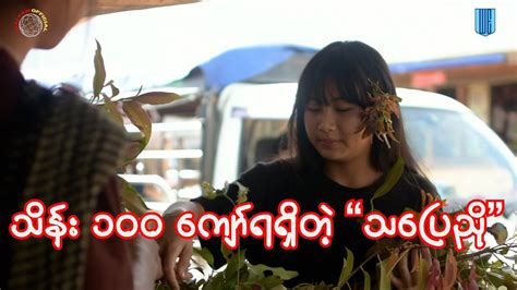 သိန်း ၁၀၀ ကျော််ရရှိတဲ့ သပြေညို Youtube