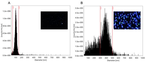 Video Nanoparticle Tracking Analysis For The Quantification And Size Determination Of