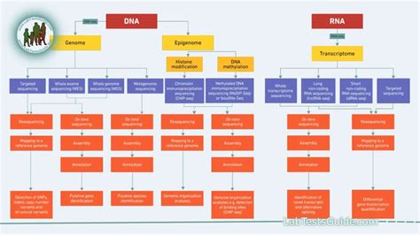 Molicular Diagnosis Lab Tests Guide